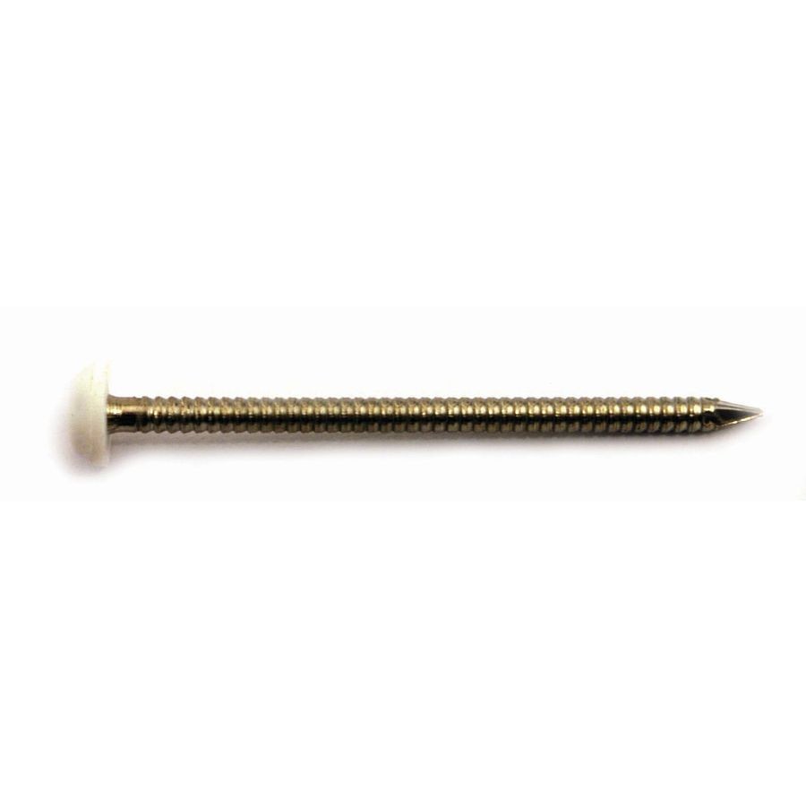 Plastic Head Pins A4 Stainless Steel 3.35mm 100 Pack - Fixings Store